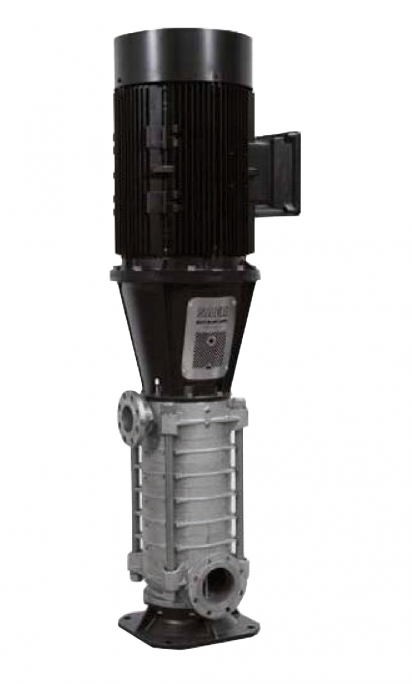 Multistage centrifugal pumps TM 2 poles - ΡΟΗ